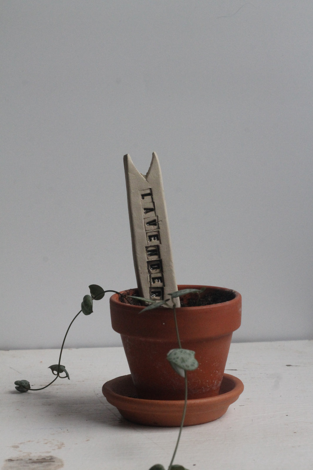 Products – G._.POT